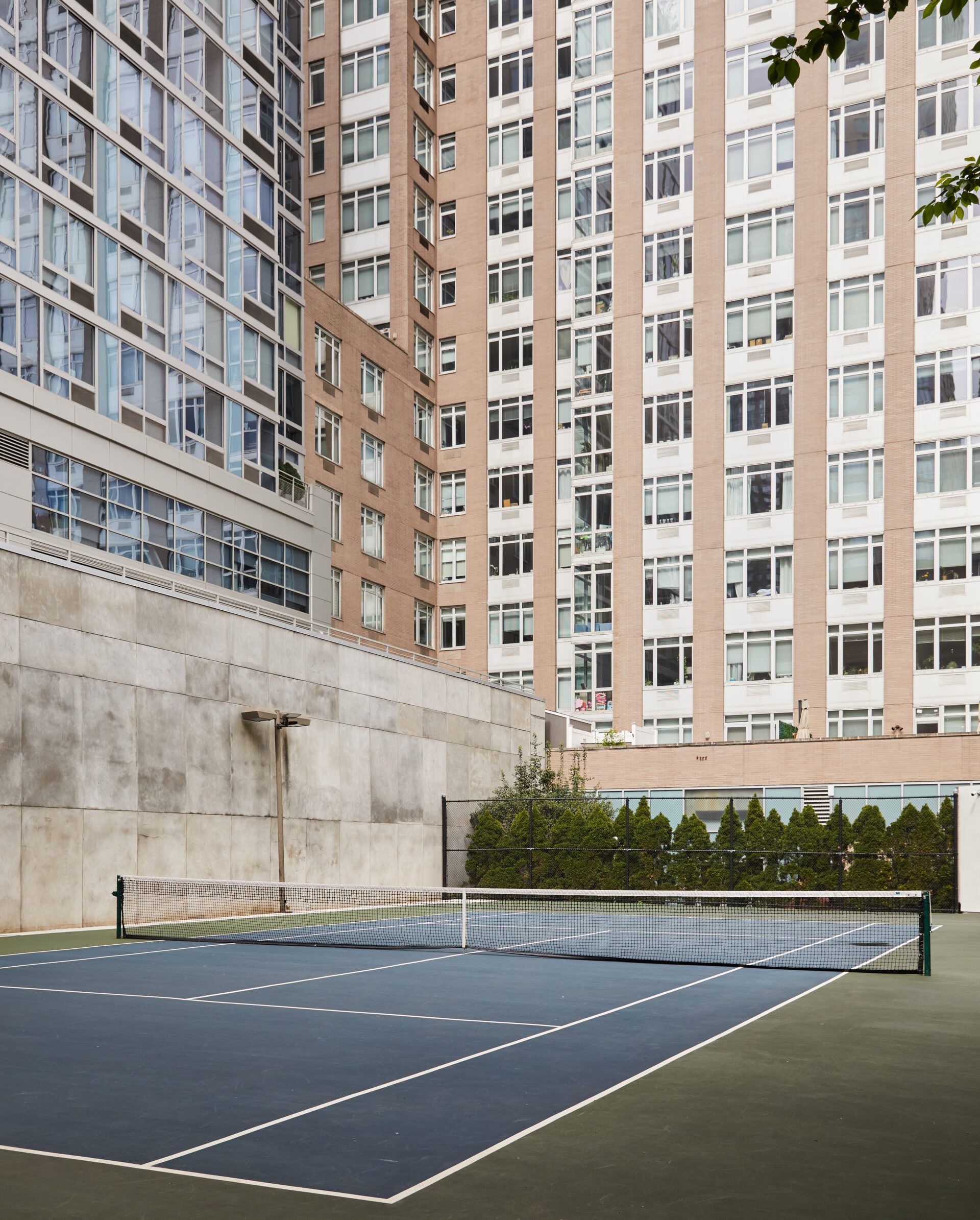 Community - Algin Management